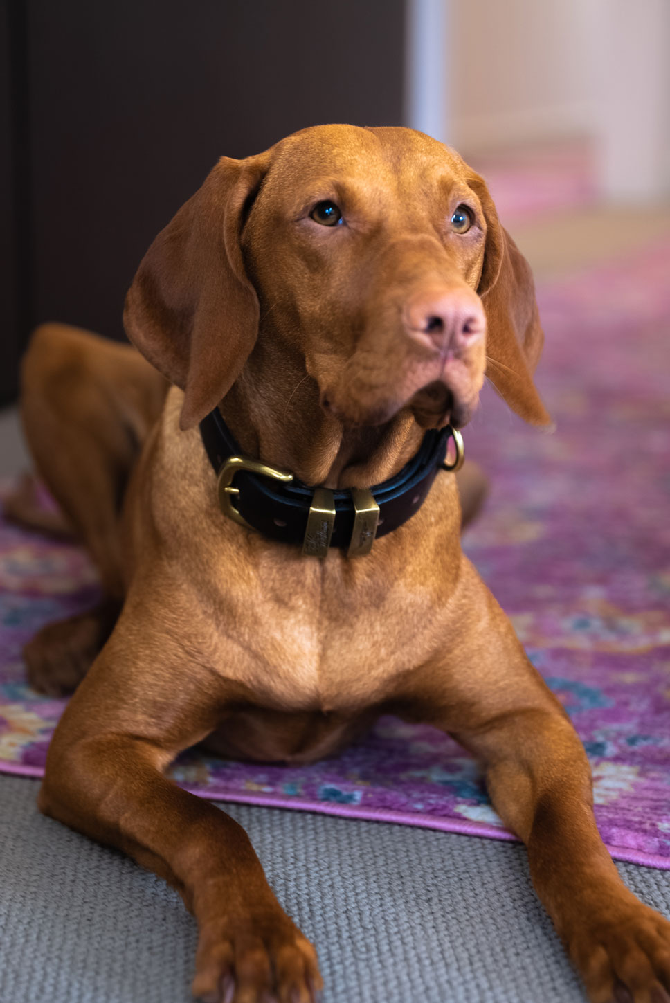 EskPsych - EskPsych - Psychology Services in Esk, Queensland